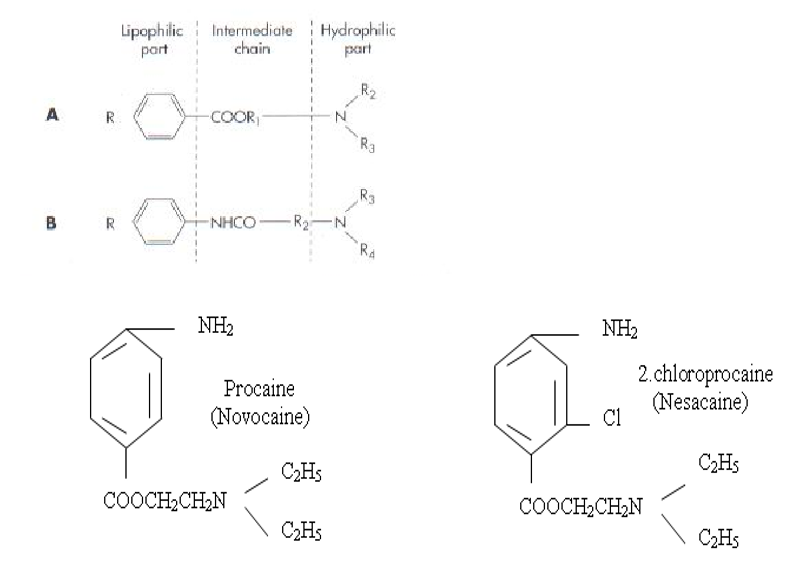 Cấu trúc thuốc tê